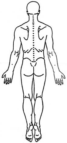 New Dental Patients Welcome - Macleod Trail Dental