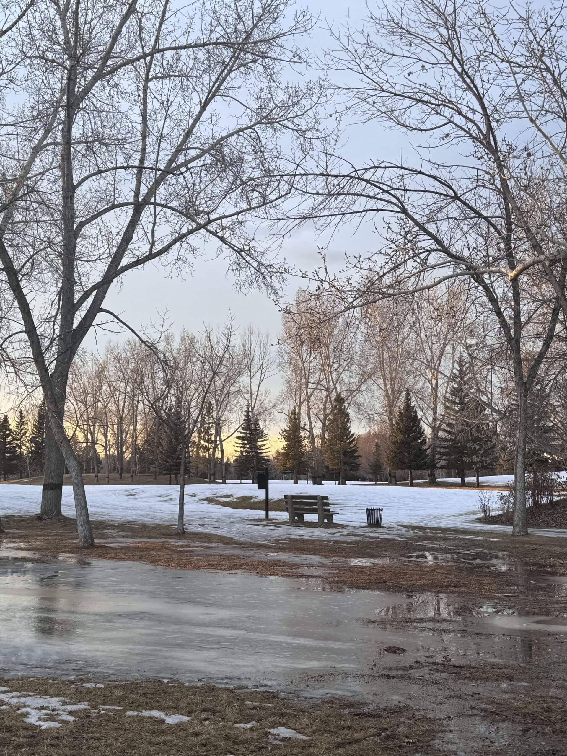 Maple Ridge Dentist - Macleod Trail Dental