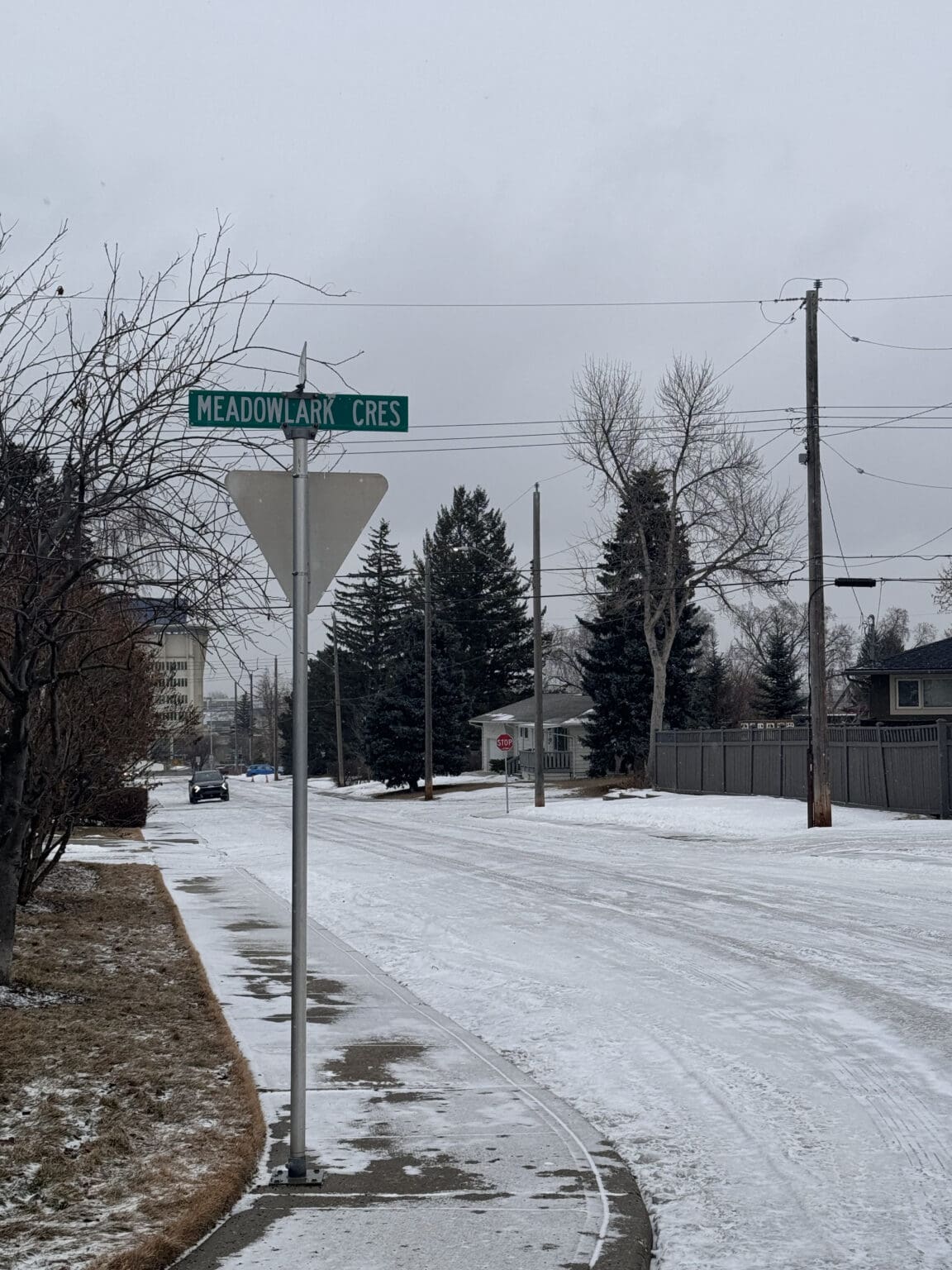 Quality Dental Services - Meadowlark Park - Macleod Trail Dental